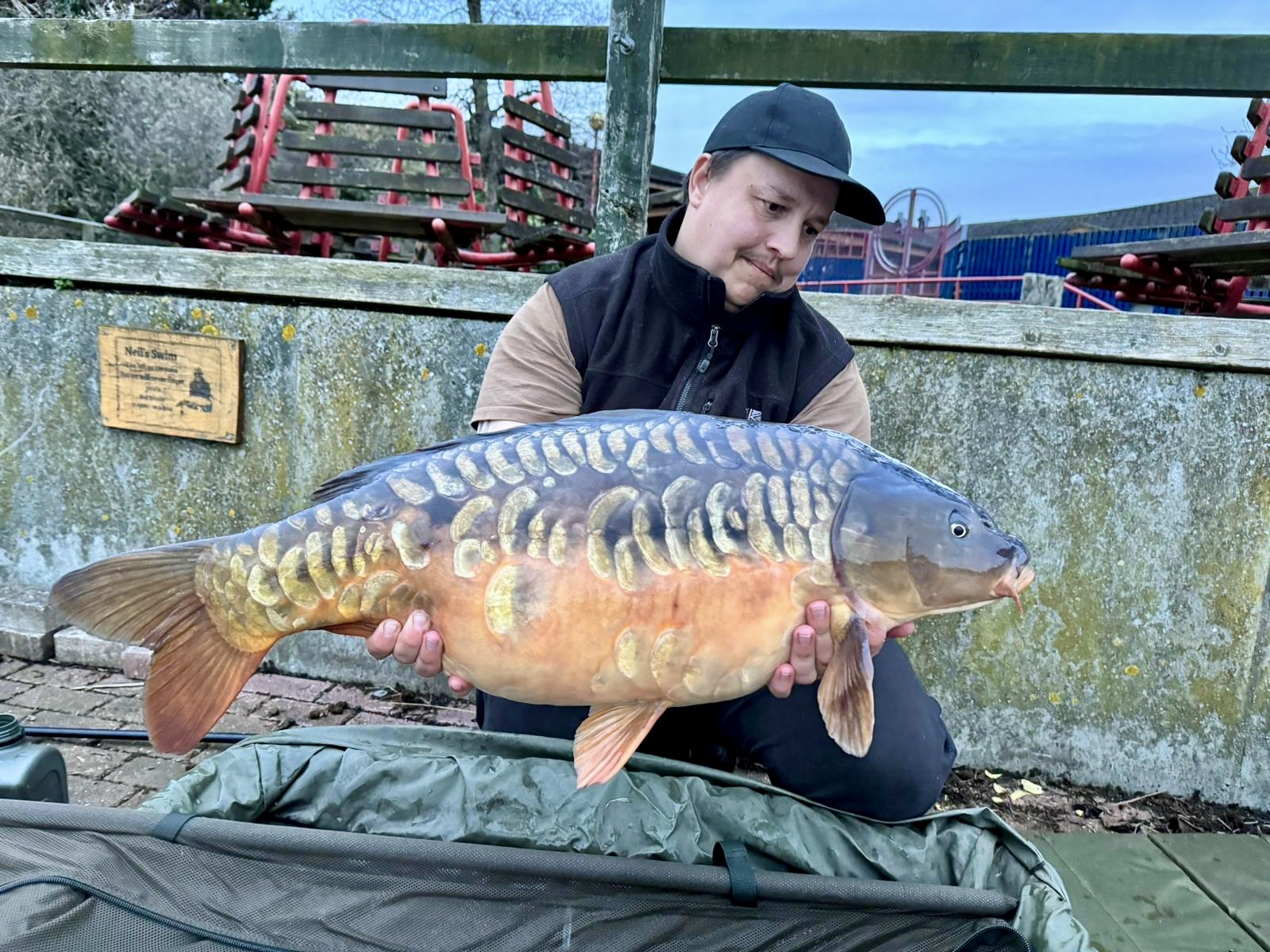 Orange Carp | Total Carp